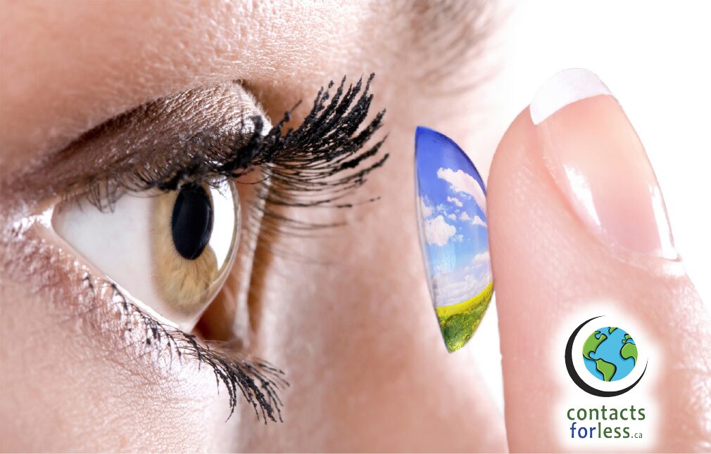 The Best Daily Disposable Contacts | Contacts For Less
